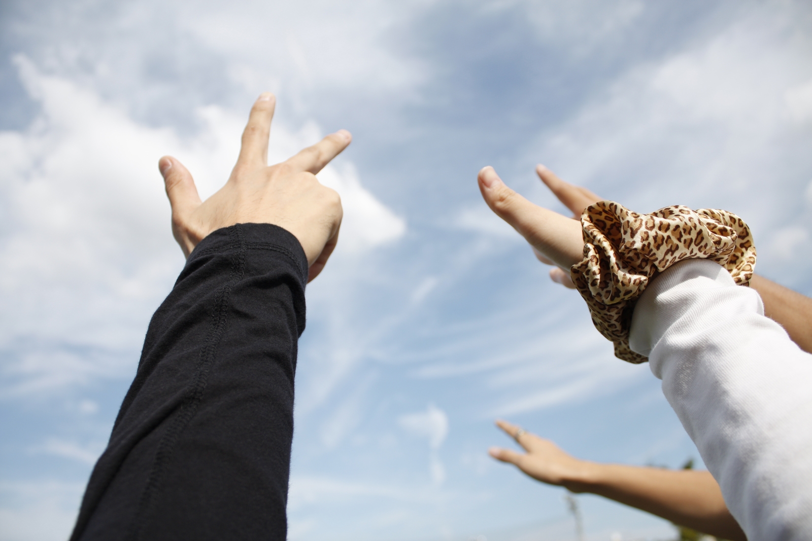 ヤフーオークションの特徴 | aucfan times（オークファンタイムズ）